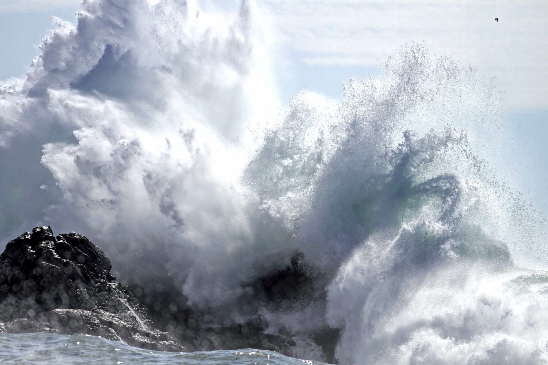 Control Union y Zero Plastic Oceans lanzan la certificación “OCEAN ...